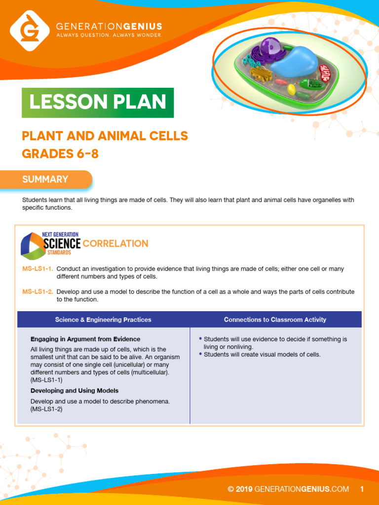 Middle School Cell Exploration | PDF | Cell (Biology) | Organelle