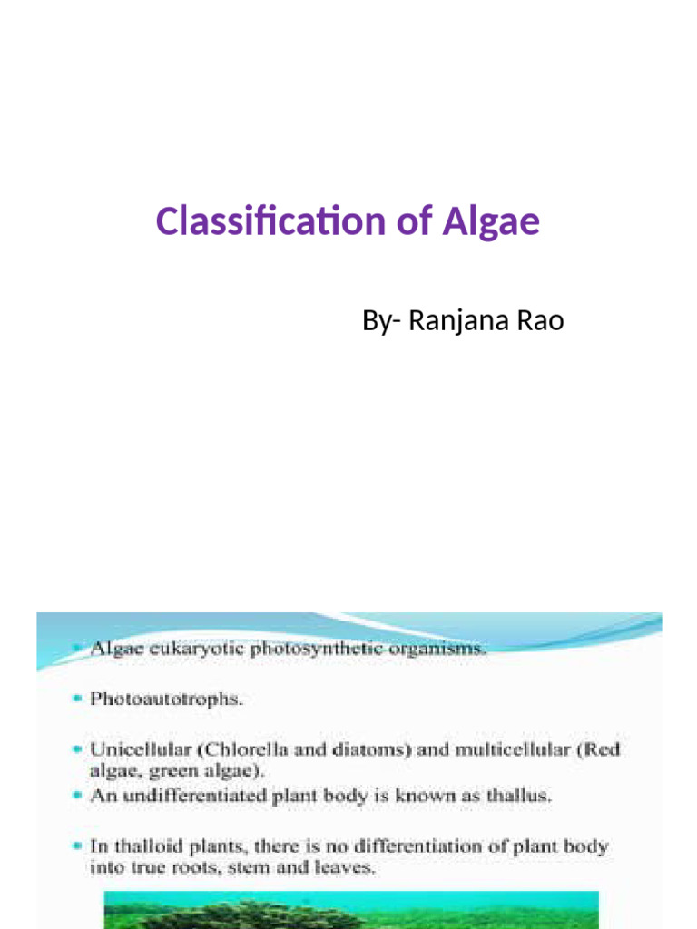 Classification of Algae | PDF