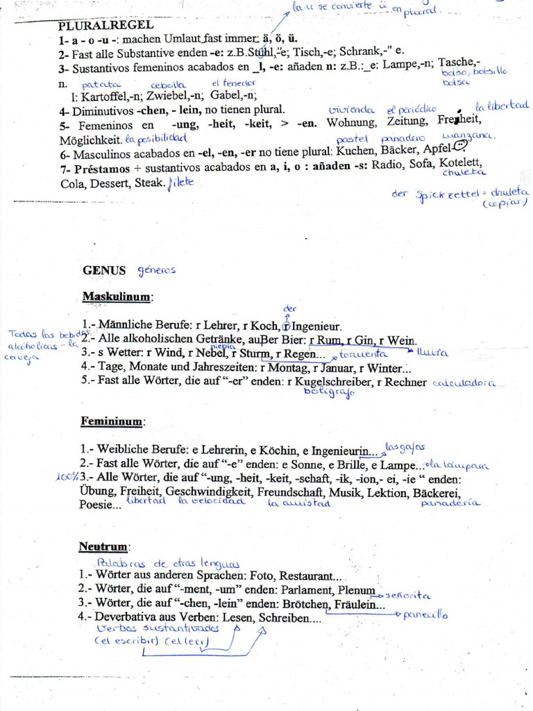 Pluralregel und Genus | PDF