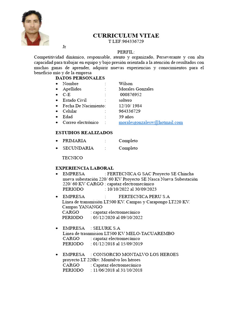 Cv Morales Gonzales Wilson Capataz Pdf