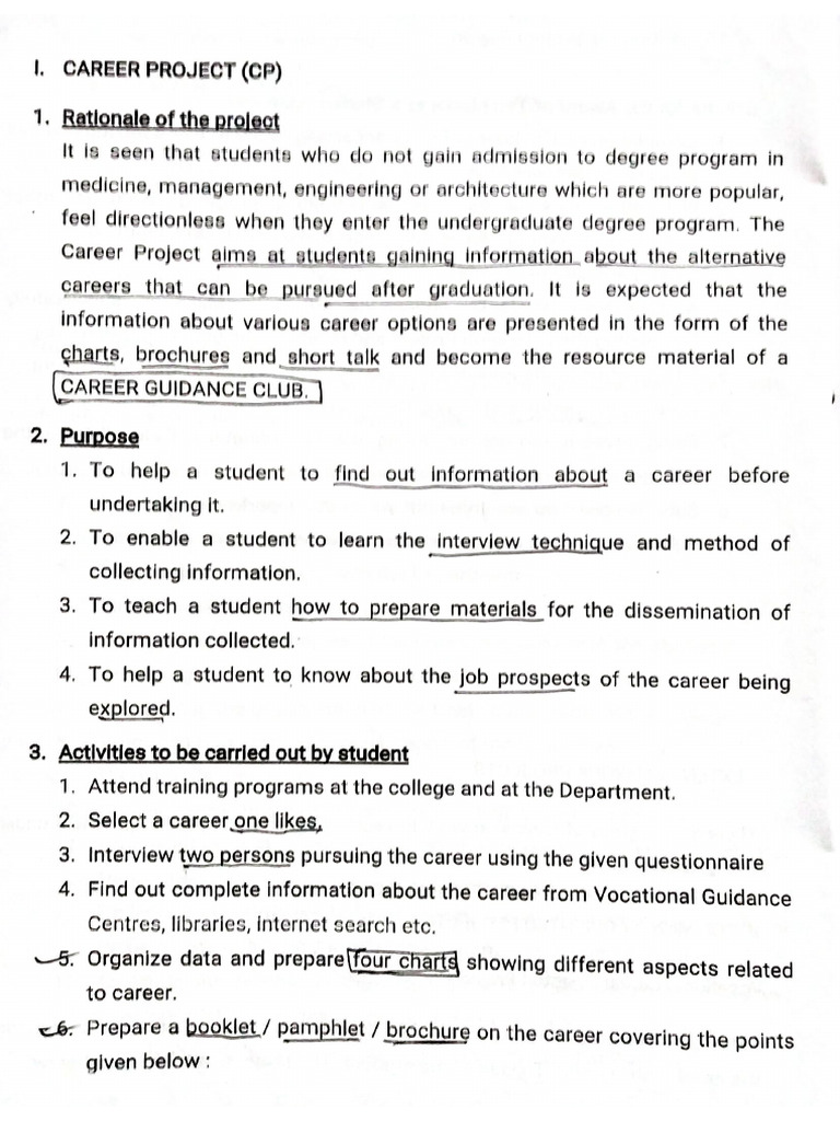 Career Project Guidelines | PDF