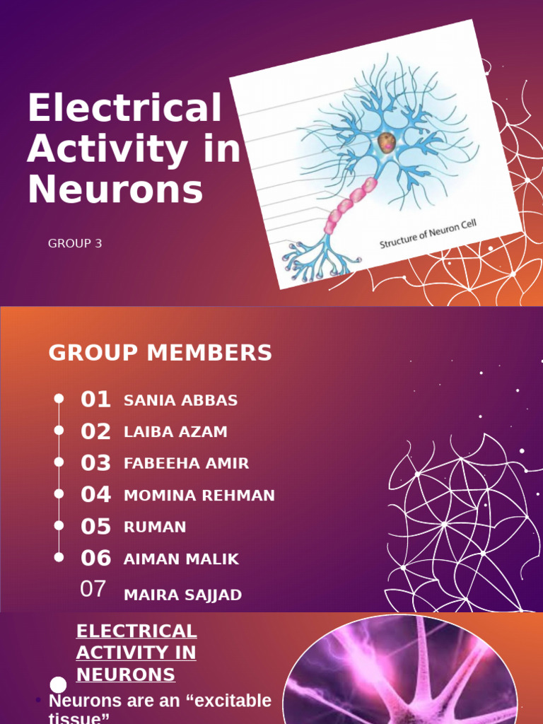 G 3 Exercise Physiology | PDF