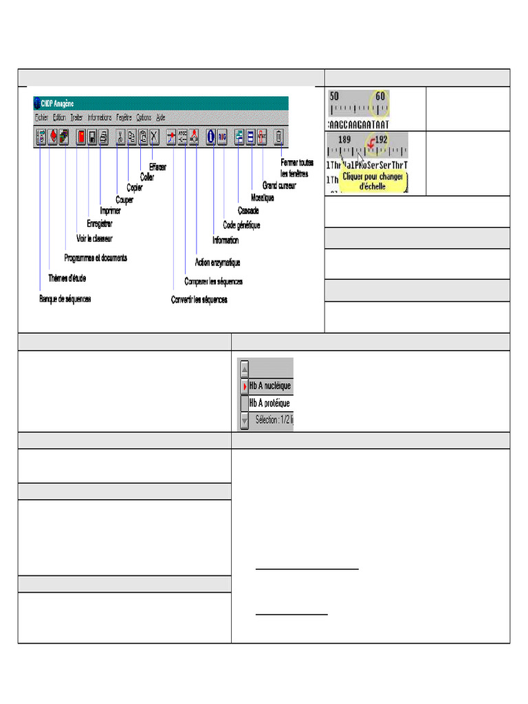 Fiche Technique Anagene Comparaison Conversion | PDF