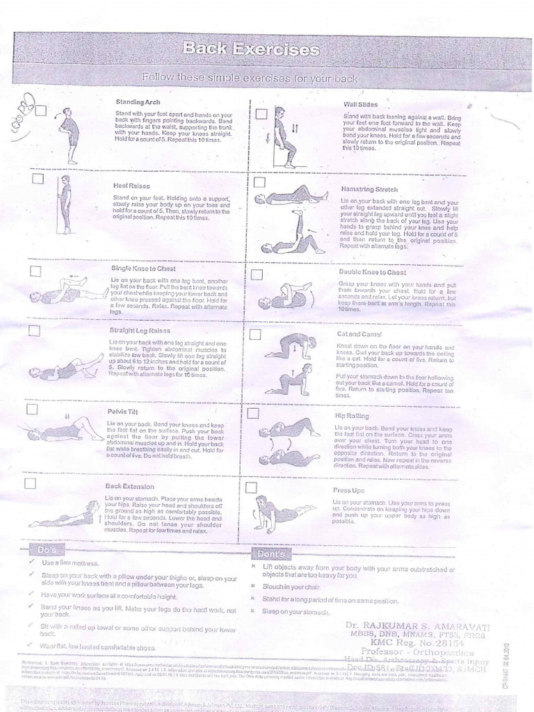 Back Exercise | PDF