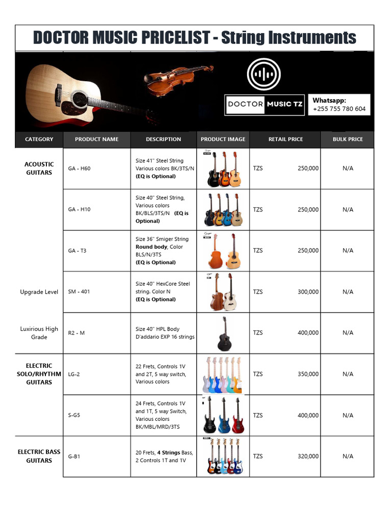 Doctor Music String Instruments | PDF