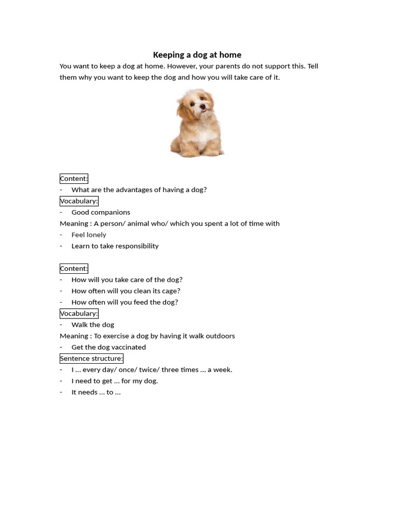 Keeping A Dog at Home | PDF