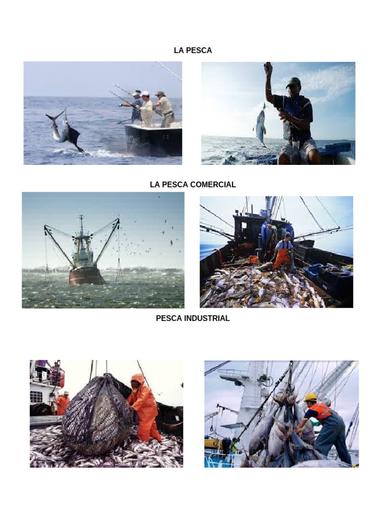 La Pesca | PDF