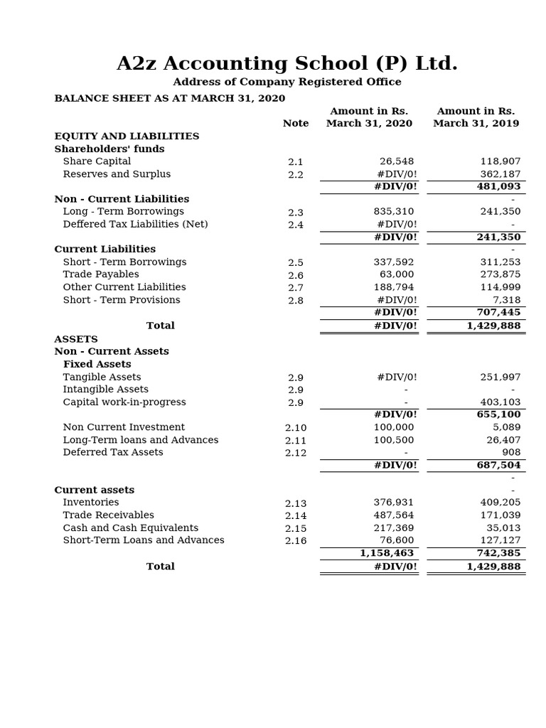 Company FS Formate | PDF