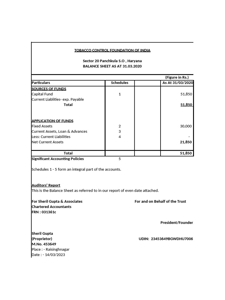 Ngo Financial Formate | PDF