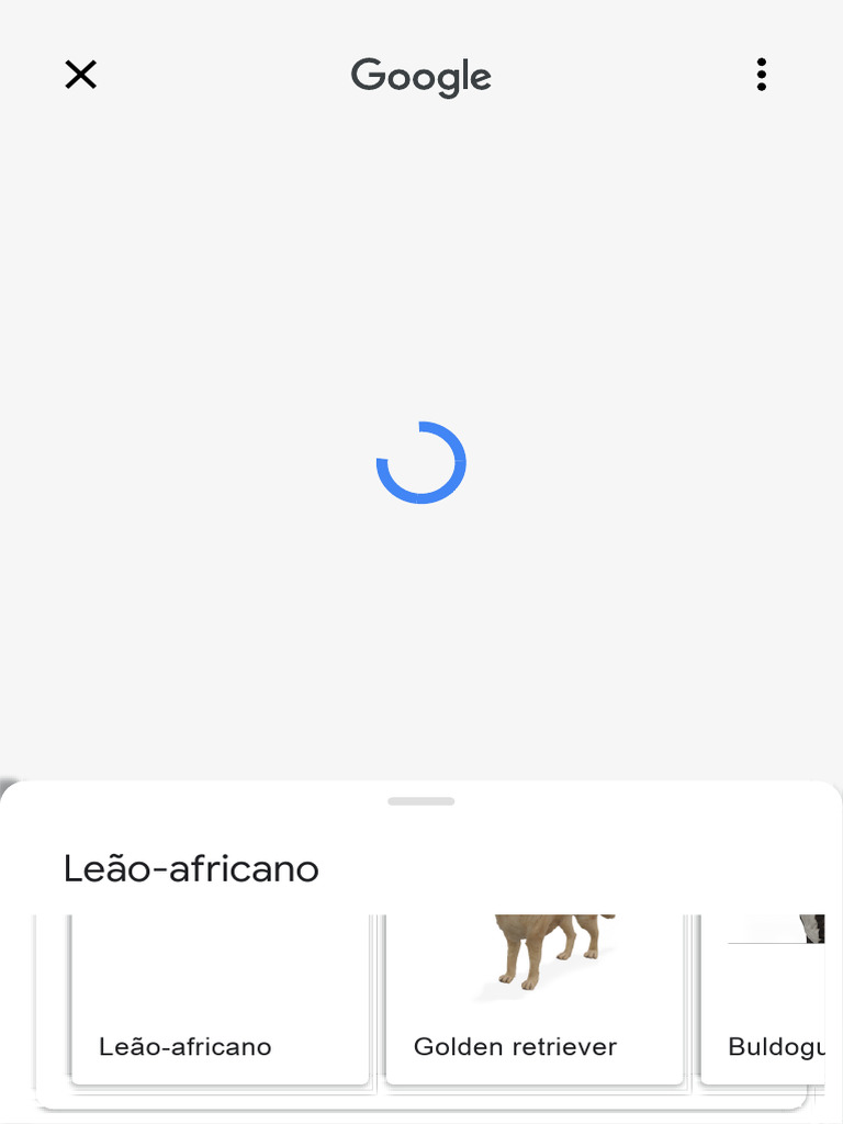 Leão Africano Características E Curiosidades Pdf