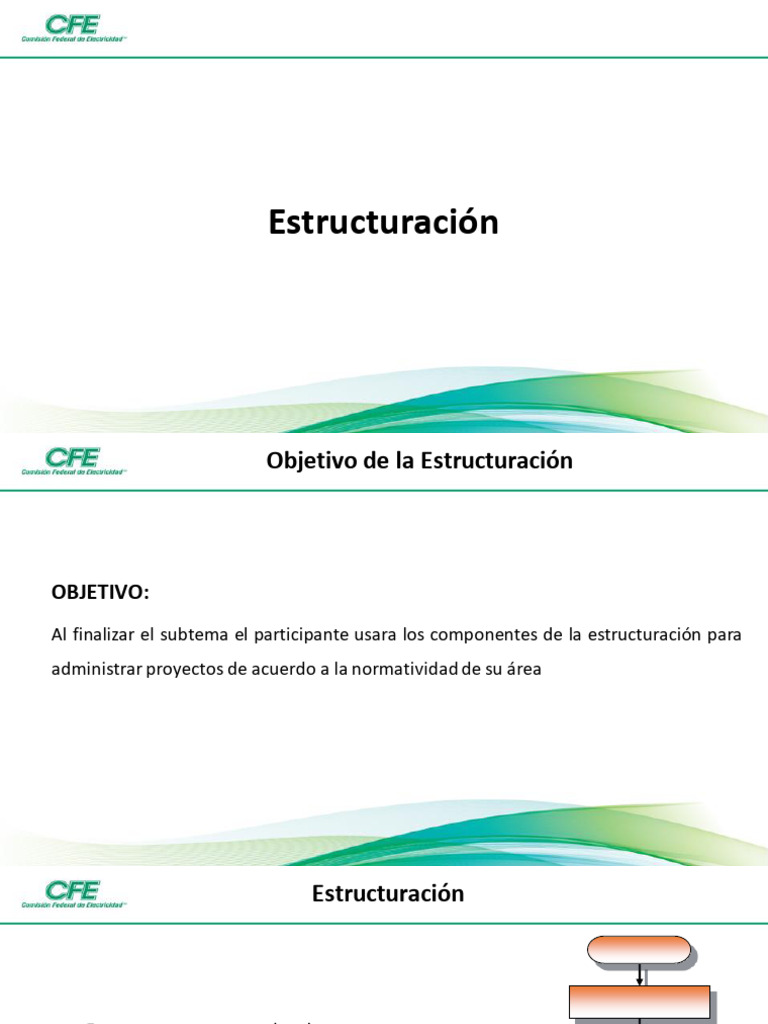 01 Presentacion PS Estructuracion V1 | PDF