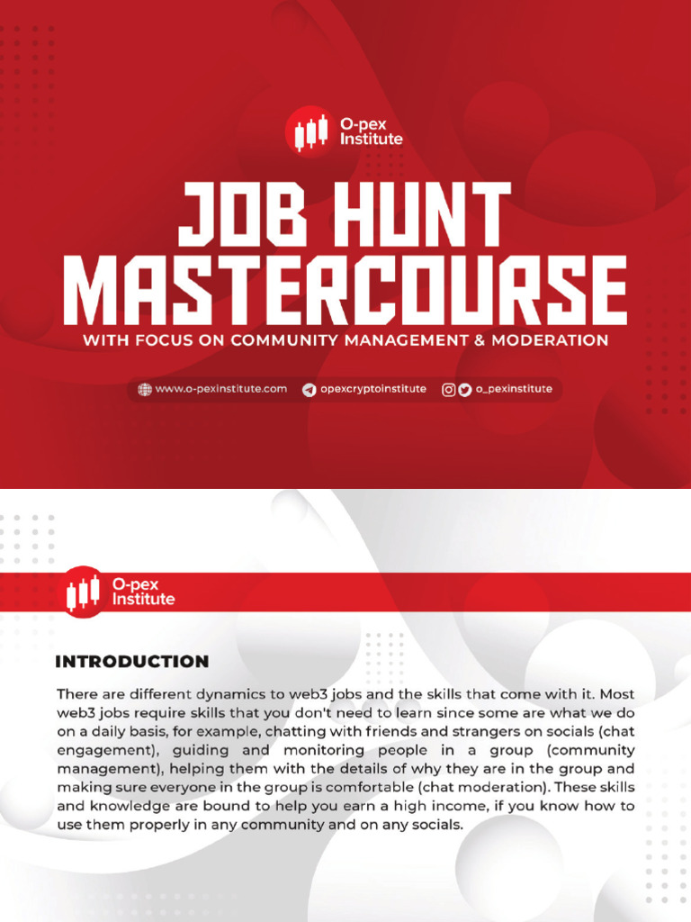 Job Hunt MasterCourse | PDF