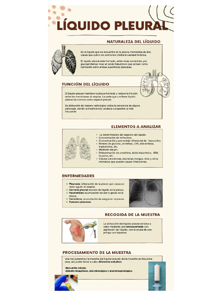 Líquido Pleural | PDF
