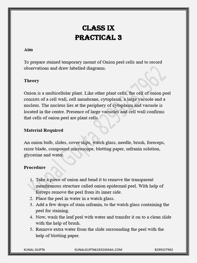 Class Ix-Practical 3-To Prepare Stained Temporary Mount of Onion Peel Cells and To Record ...