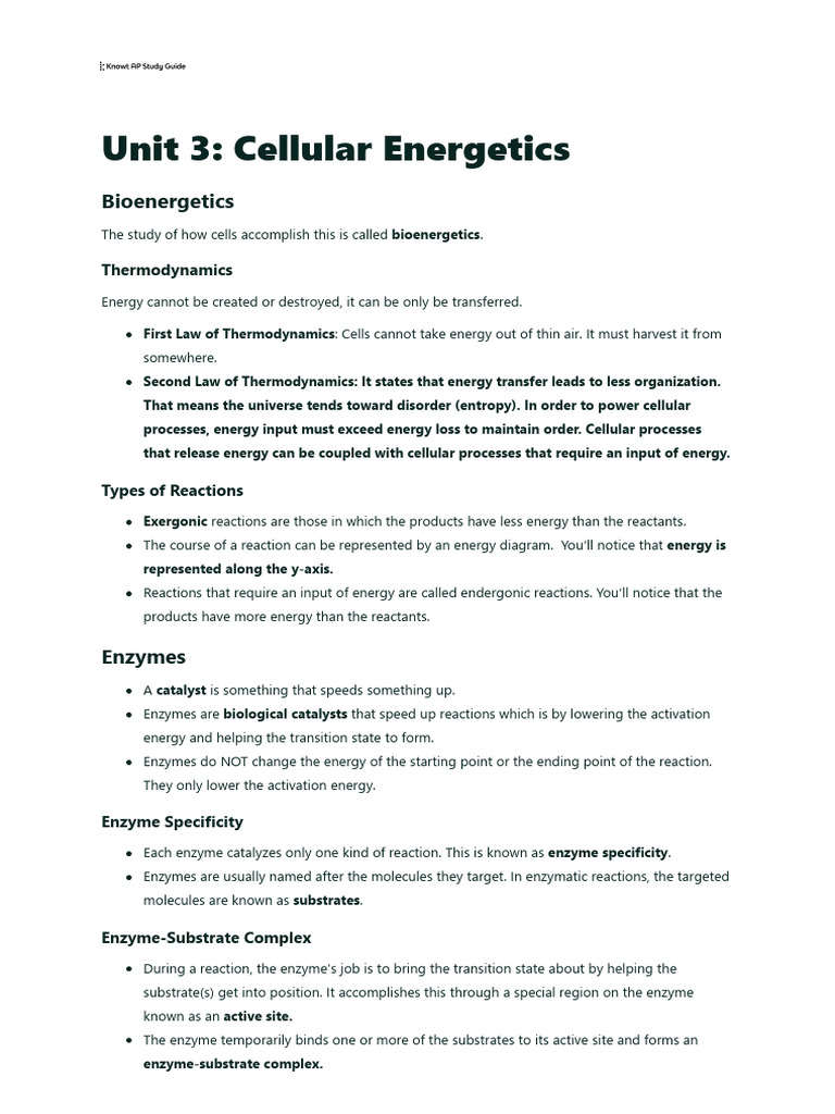 Unit 3 - Cellular Energetics | PDF