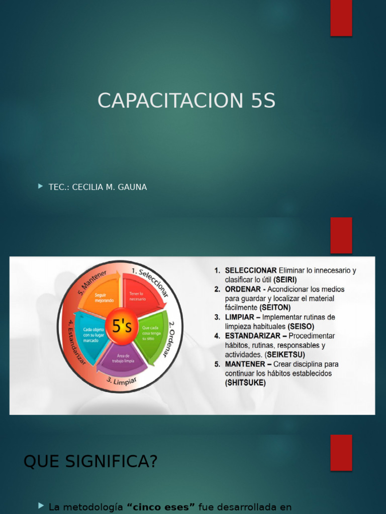 Capacitacion 5S | PDF