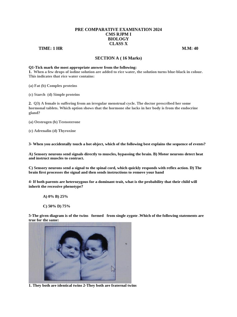 Bio X Pre Comp | PDF