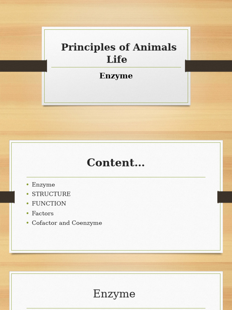 Principles of Animals Life - Enzyme | PDF