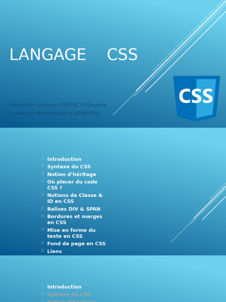 COURS CSS | PDF