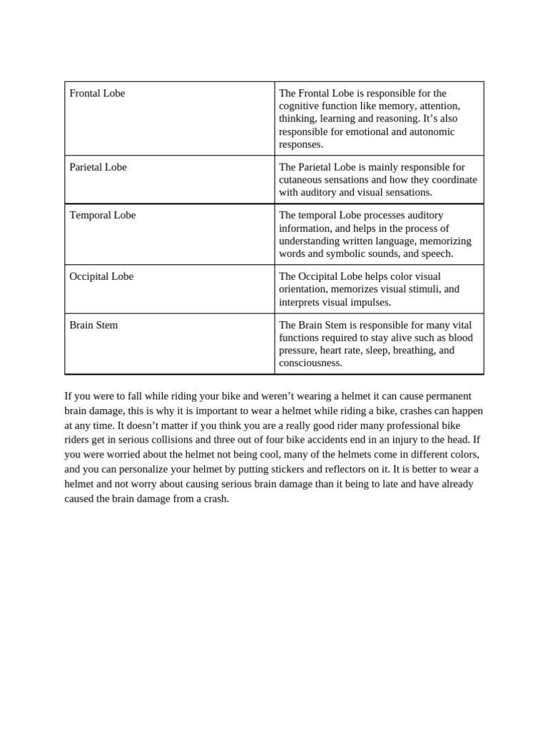 Anatomy And Physiology Brain Pdf
