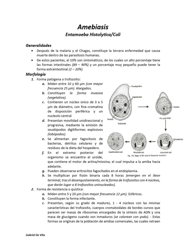 Amebiasis. Enatomoeba Histolytica | PDF