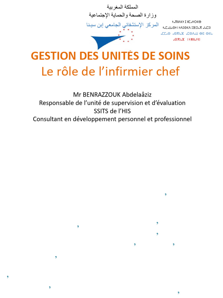 Gestion Des Unités de Soins | PDF