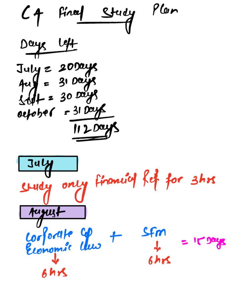 Zeel CA Final Study Plan | PDF
