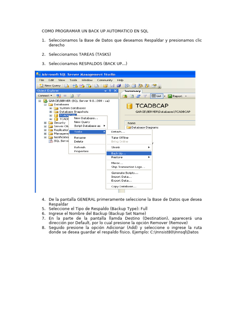 Back Up Tareas de SQL | PDF