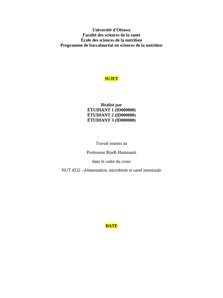 Rapport Écrit - Modèle | PDF