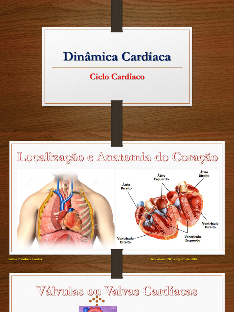 Aula 01 Dinamica Cardiaca SZF | PDF