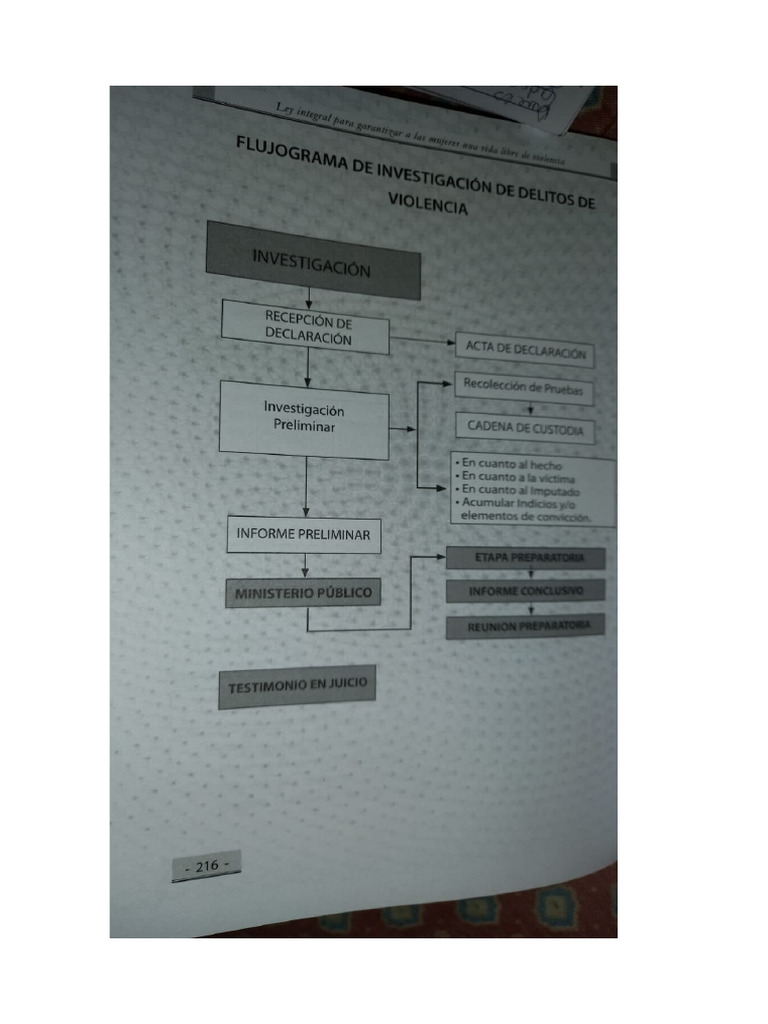 Flujogramas Ley 348 | PDF