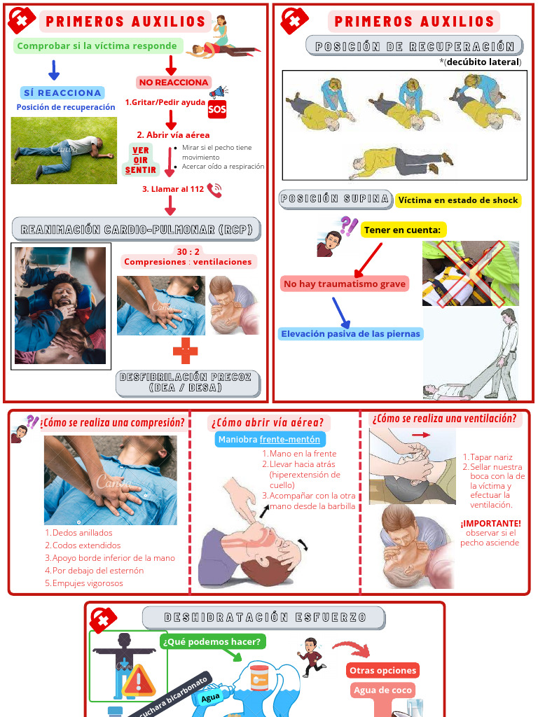 Primeros auxilios INFOGRAFÍA | PDF