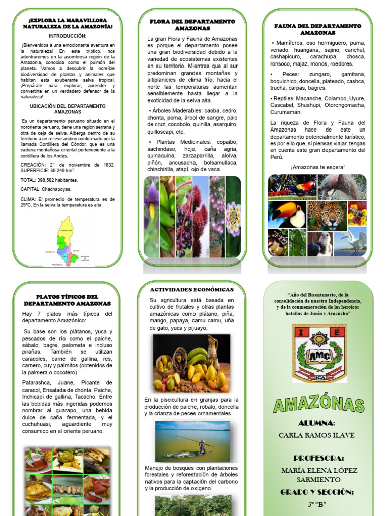 Triptico Del Amazonas - Carla Ramos Ilave | PDF | Selva amazónica