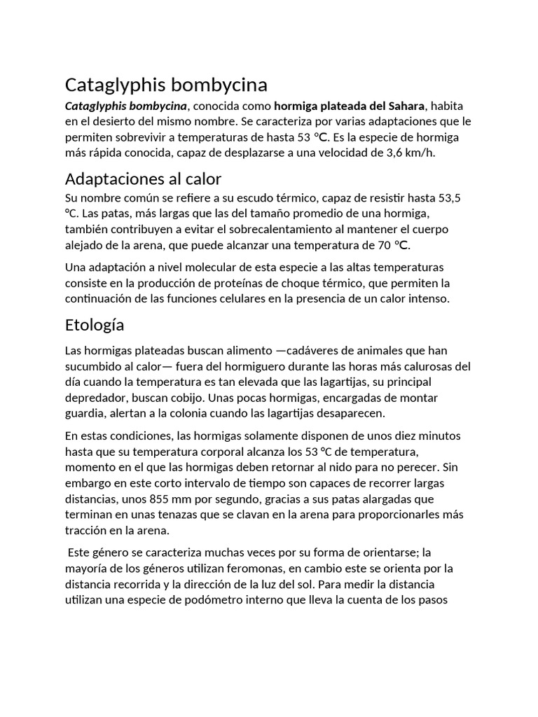 Documento 23 | PDF