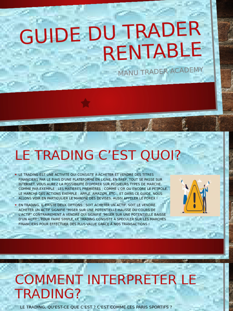 Guide Du Trader Rentable by MANU | PDF