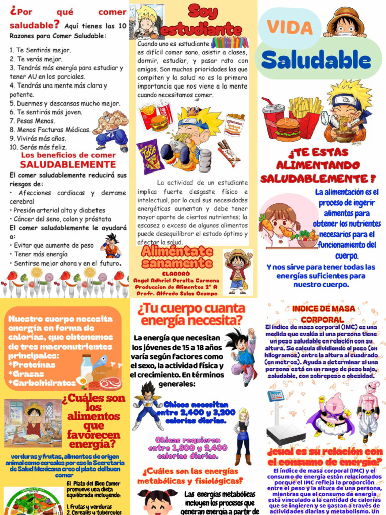 Triptico Vida Saludable | PDF