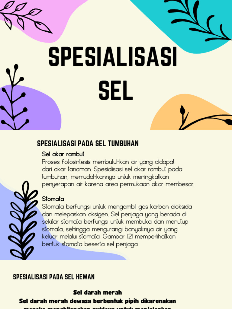 Spesialisasi Sel | PDF
