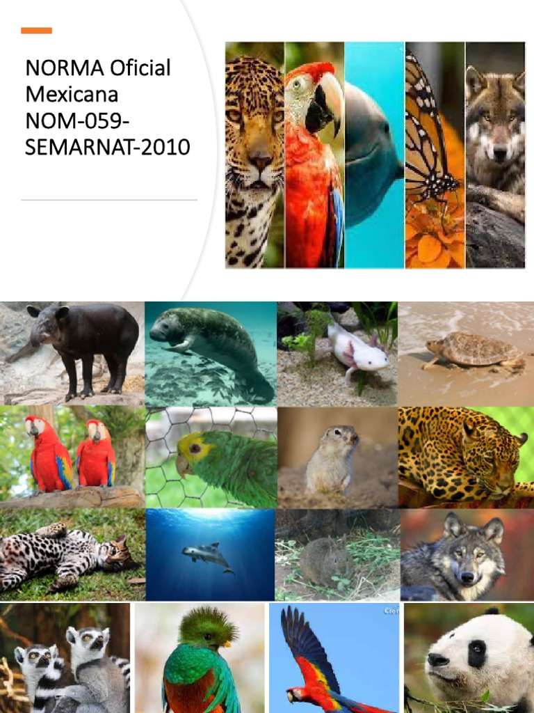 NORMA Oficial Mexicana NOM-059-SEMARNAT-2010 | PDF
