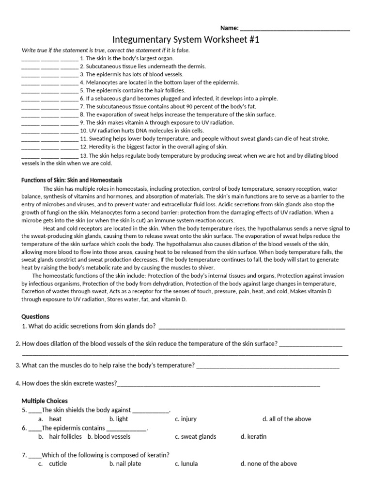 Integumentary System Worksheet #1 | PDF | Skin | Science & Mathematics
