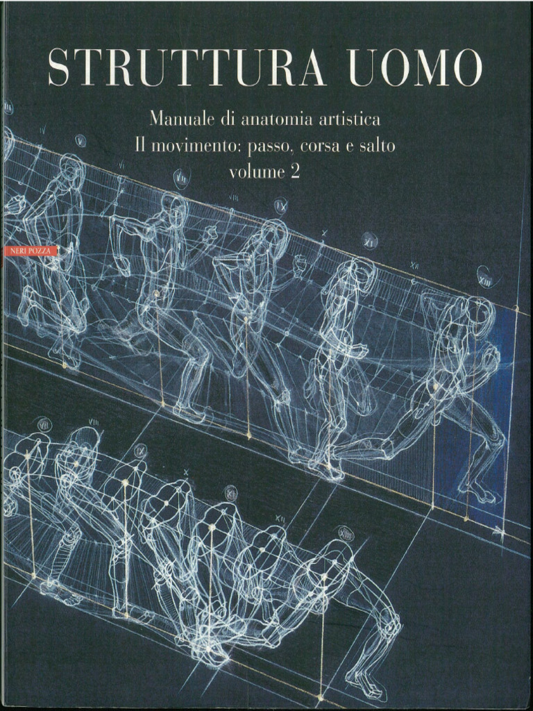Struttura Uomo - Manuale-di-Anatomia-Artistica - Vol2 (Italiano) | PDF