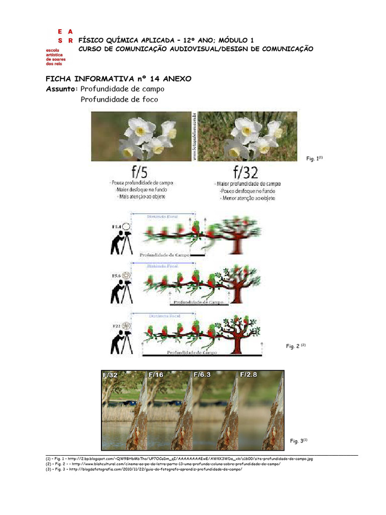 Mód 1 - fic inf 14 - PCampo | PDF