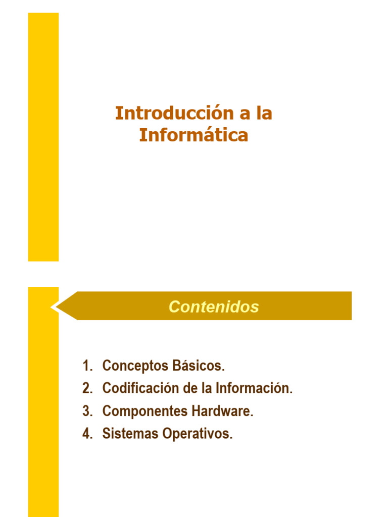 Introducción A La Informatica | PDF