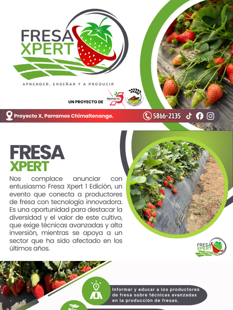 Fresa Xpert | PDF