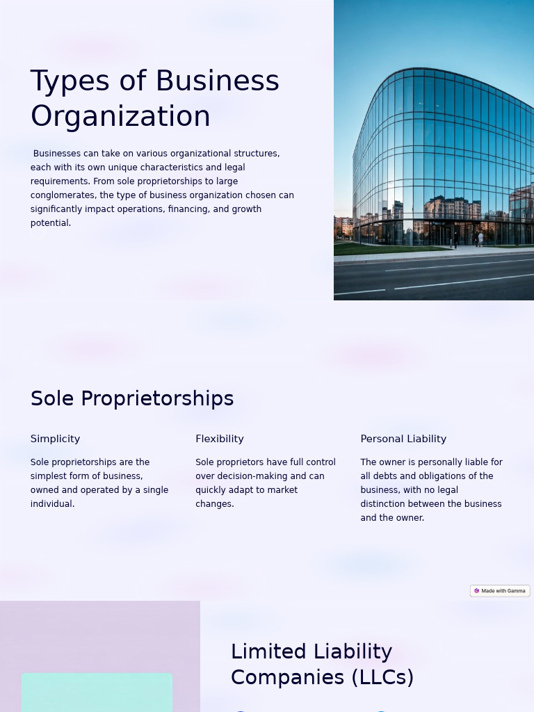 Types of Business Organization | PDF