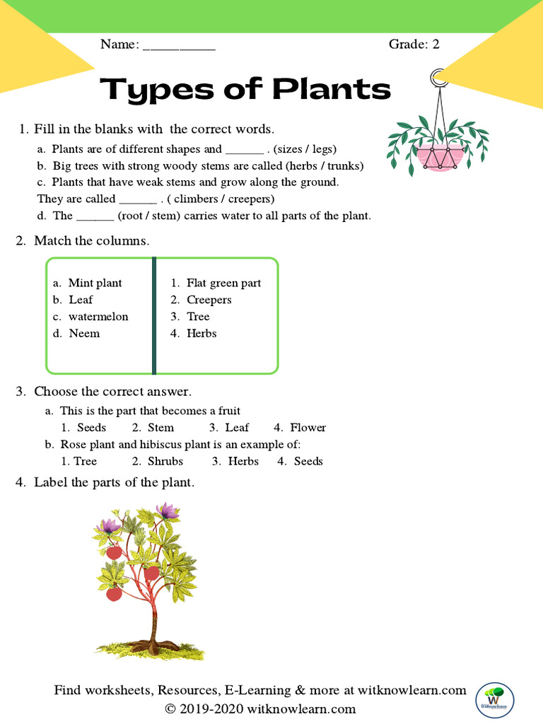 Types of Plants For Grade 2 0 2020 18 11 022856 | PDF