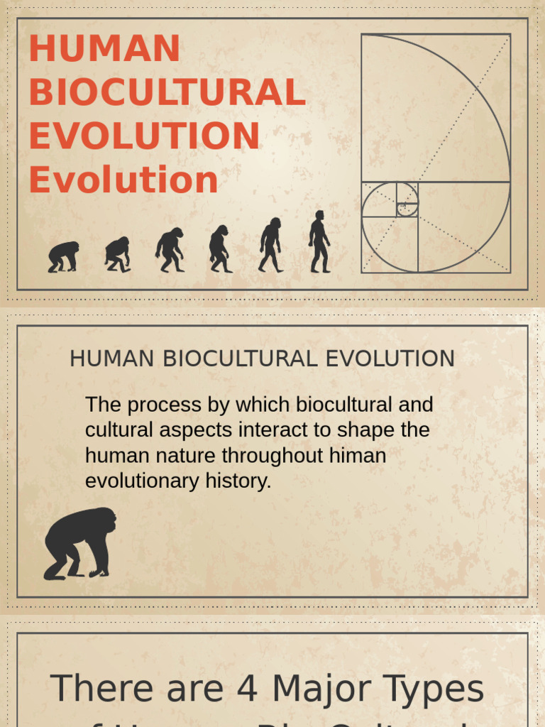 UCSP Human Bio Cultural Evolution | PDF