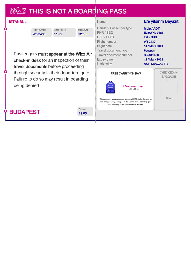 BoardingCard 350856220 IST BUD | PDF