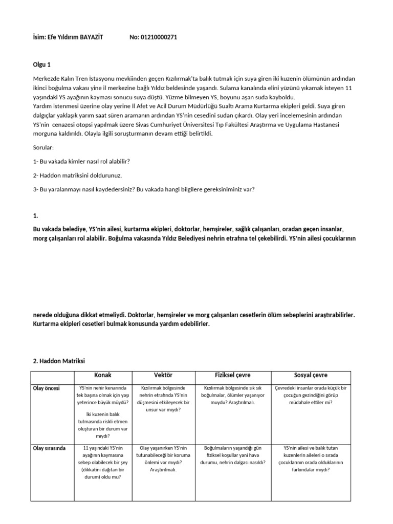 Haddon Matriksi | PDF
