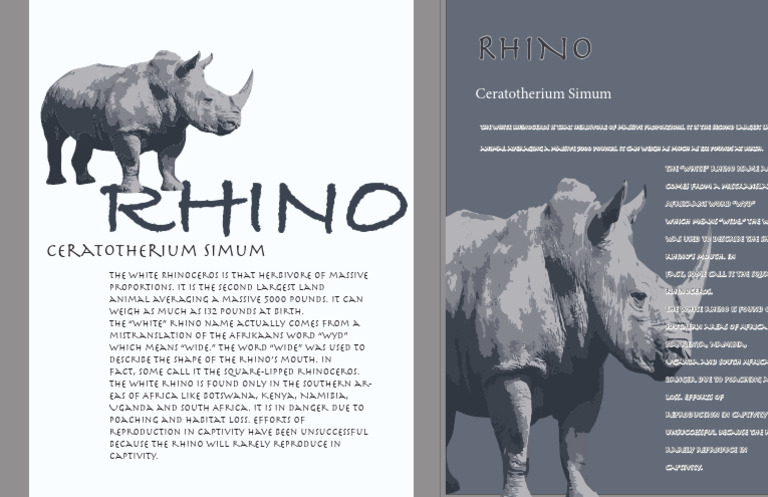 rhino graphics | PDF
