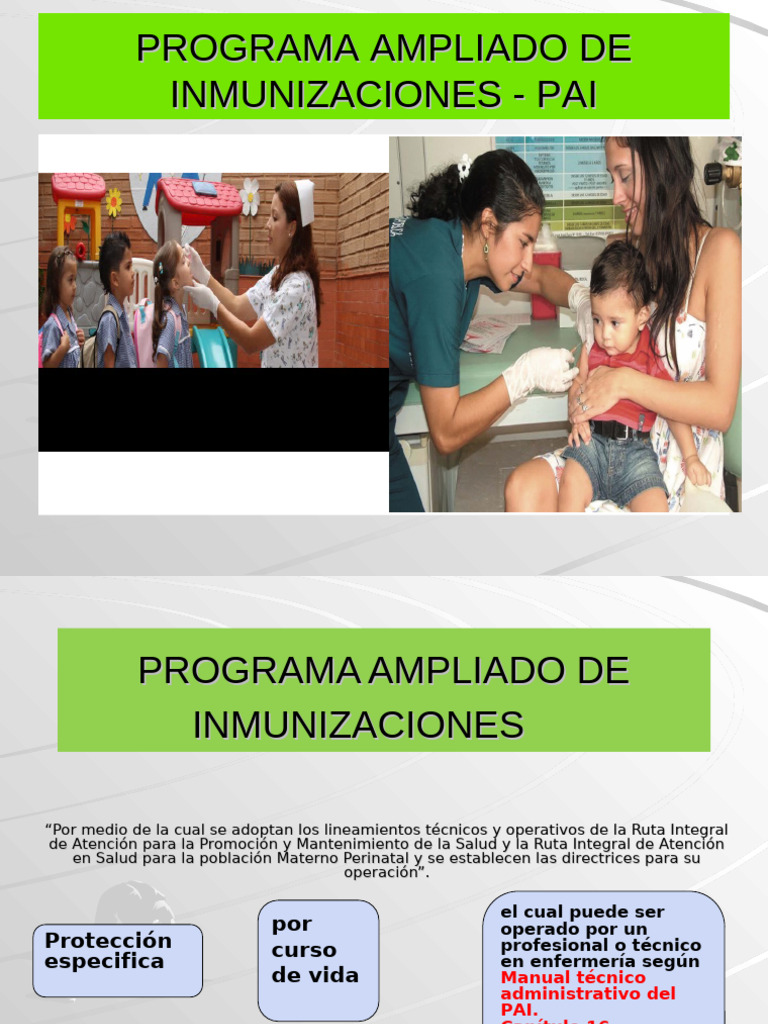 Presentación Pai 1 | PDF